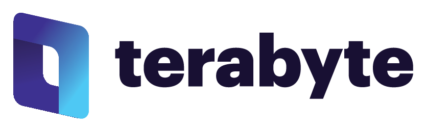 Modern Software Solutions - Terabyte Software